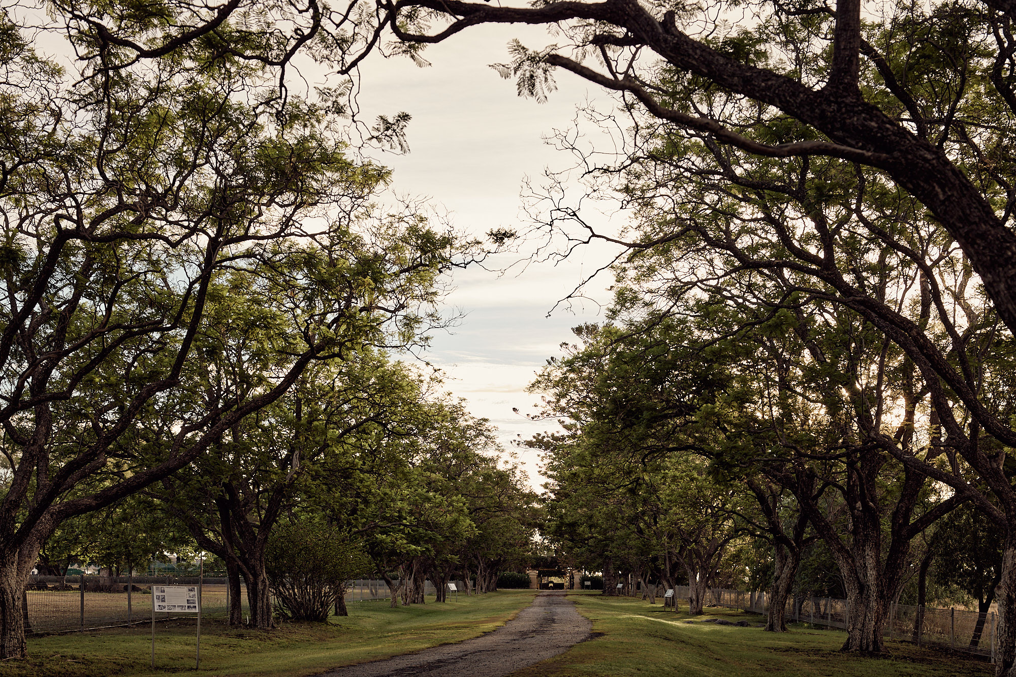 Explore the property | Jimbour - A timeless place on the Darling Downs